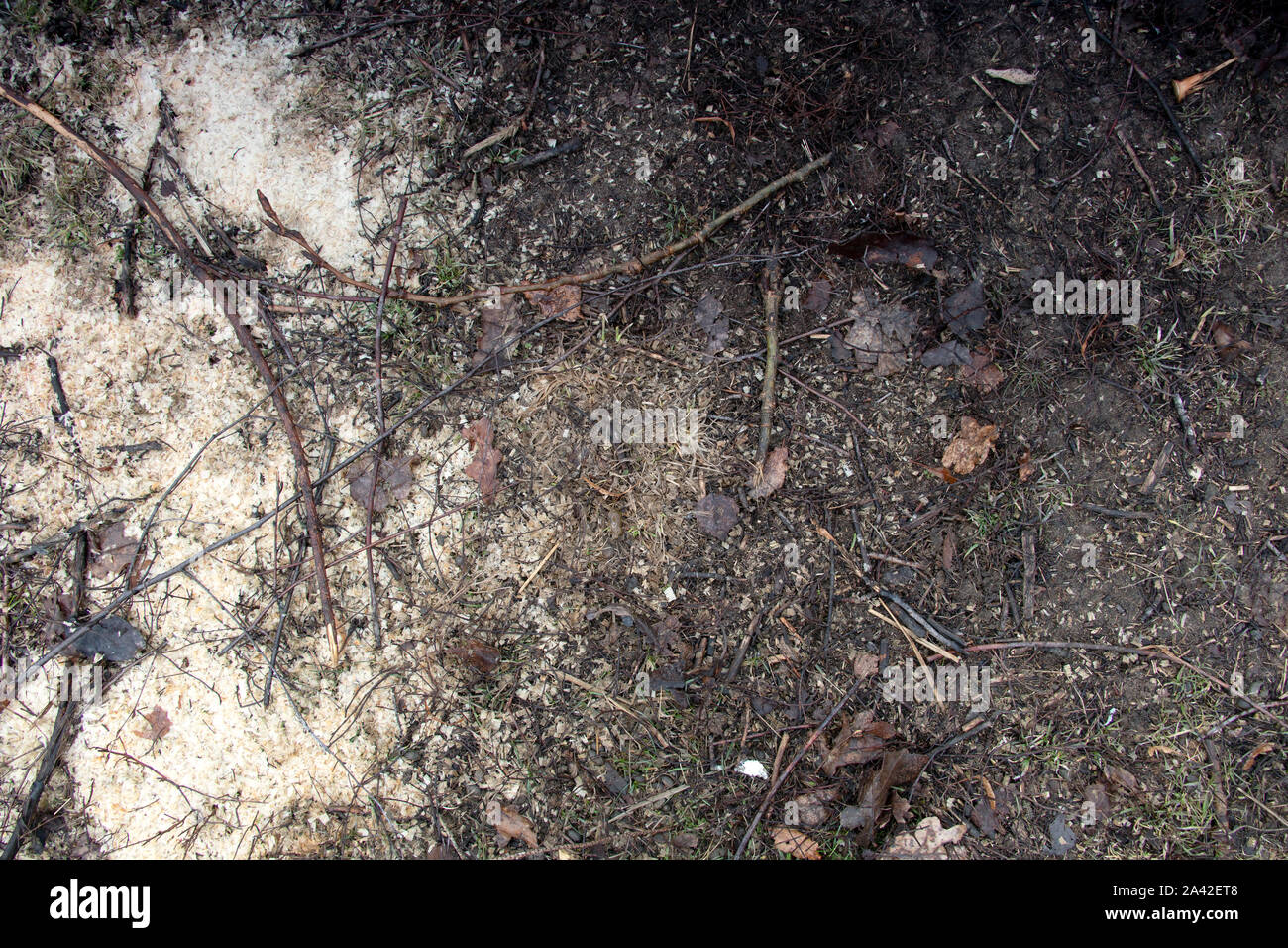 Soil with sawdust hi-res stock photography and images - Alamy