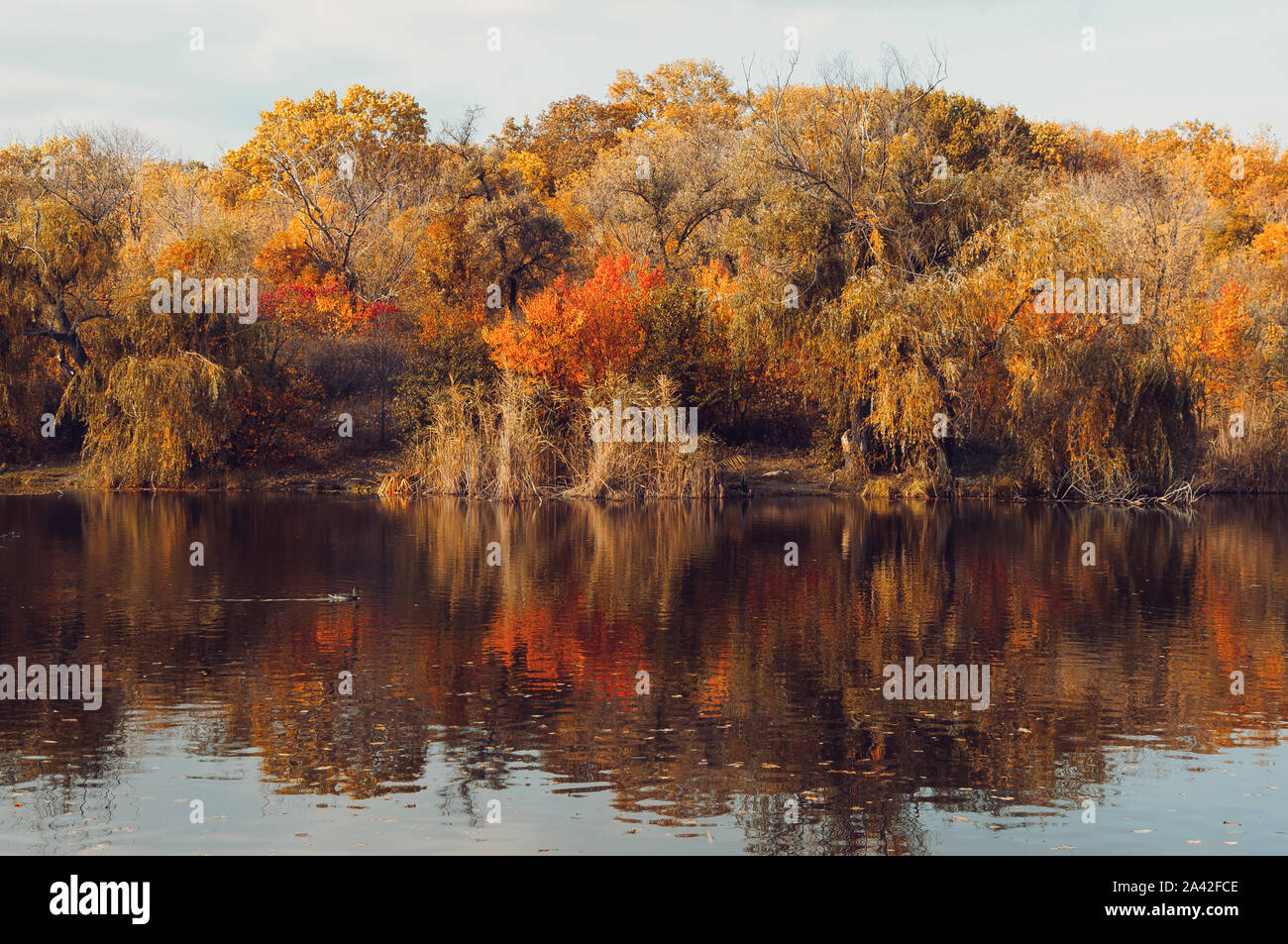 Color full lake hi-res stock photography and images - Alamy