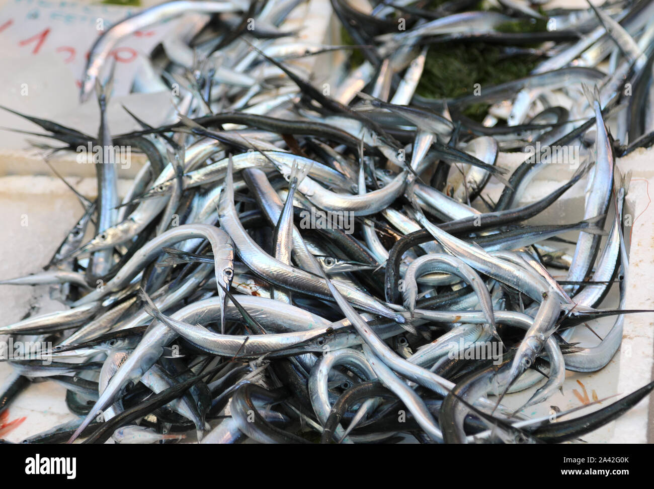 Garfish fish market hi-res stock photography and images - Alamy