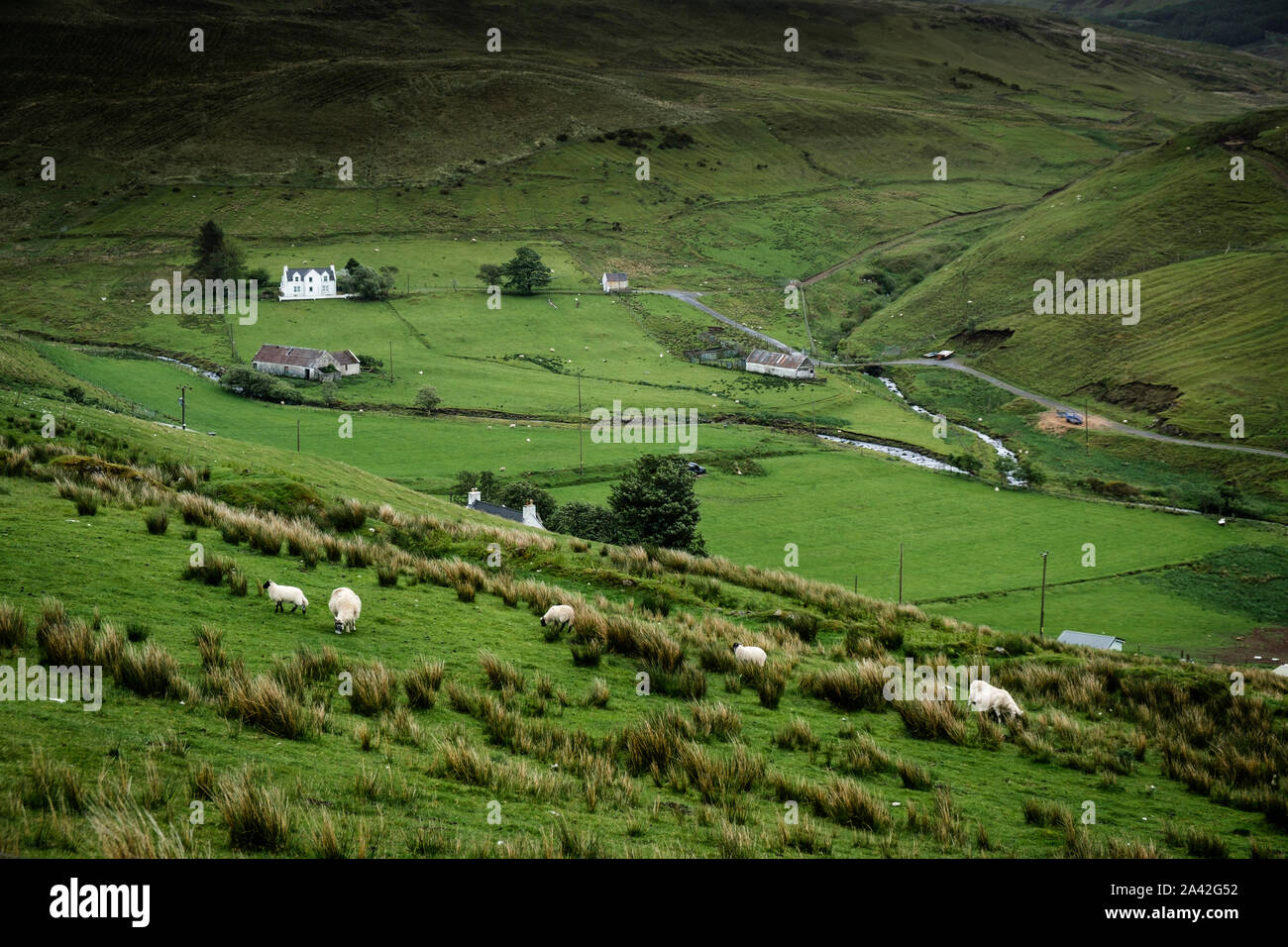 Traditional farming scotland hi-res stock photography and images - Alamy