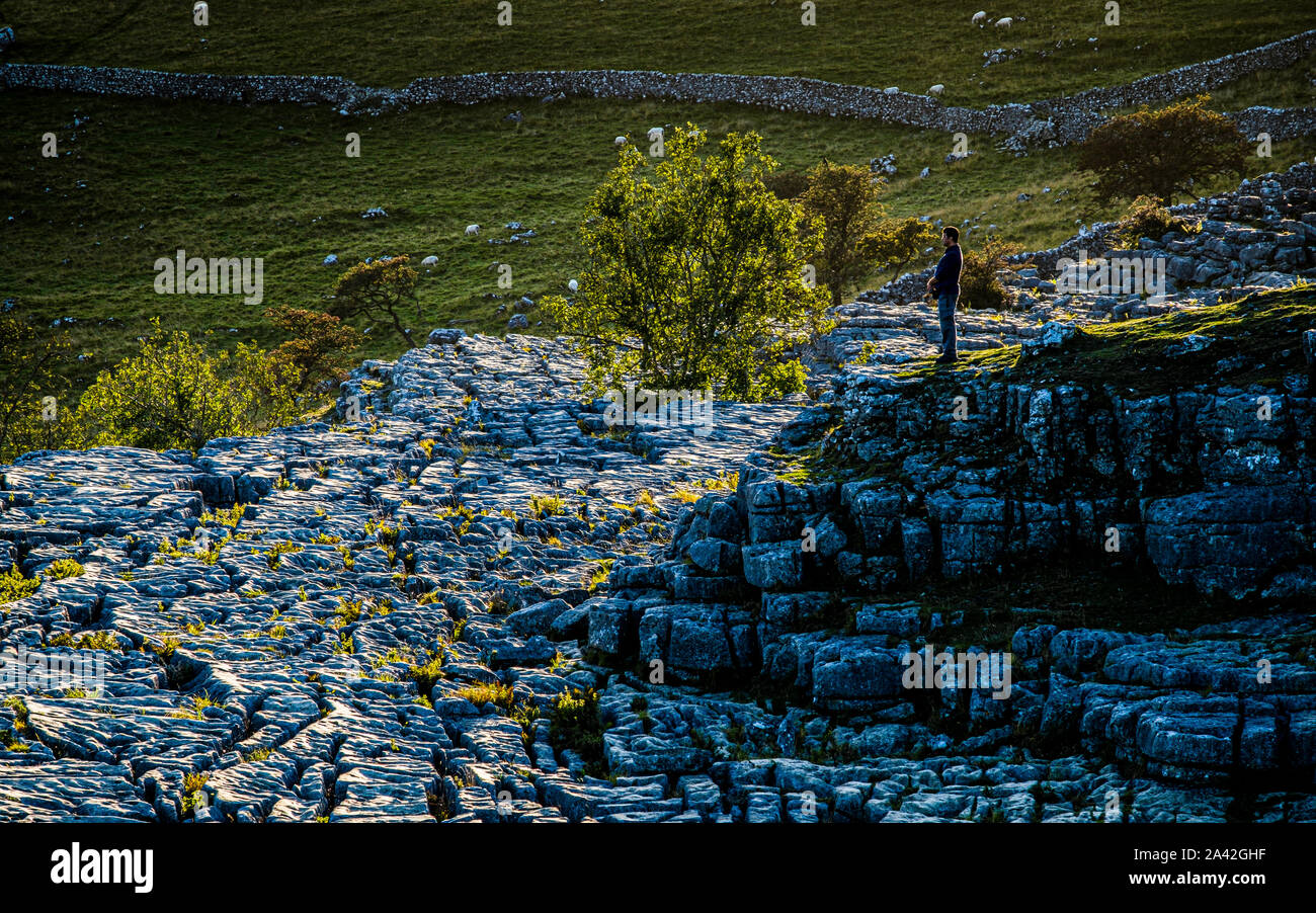 A man stands on the limestone pavement above Malham Cove enjoying the ...