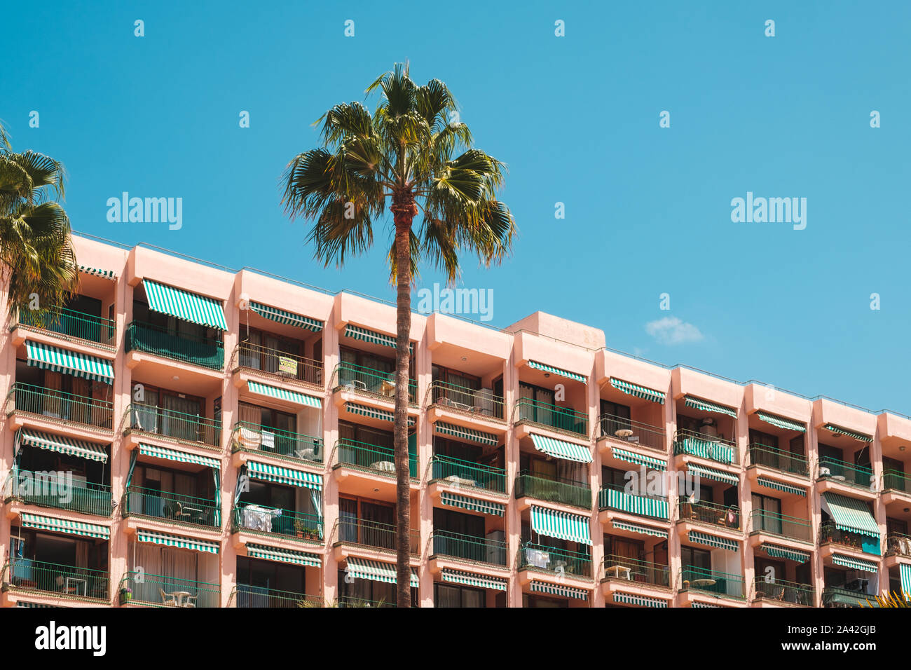 vacation rental apartment building balconies and palm tree on sunny day ...