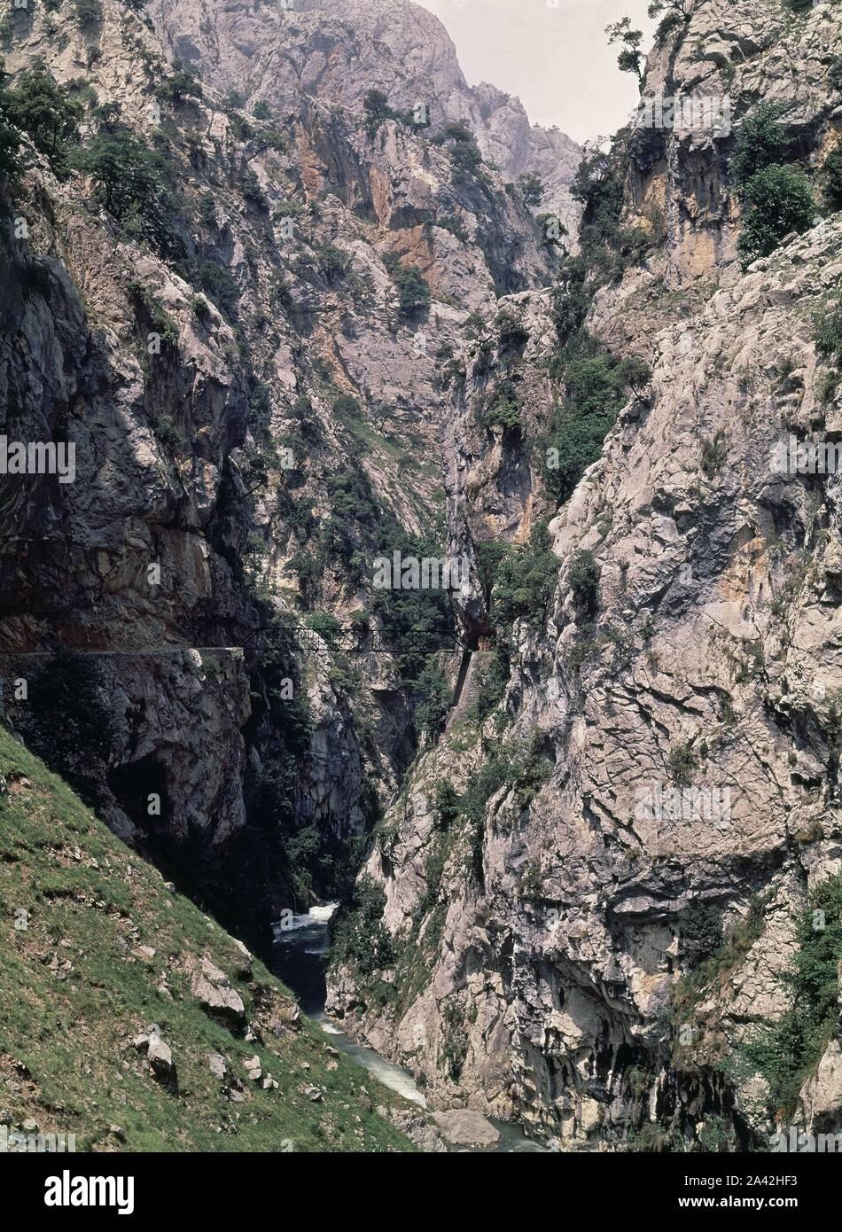 Desfiladero del rio cares hi-res stock photography and images - Alamy