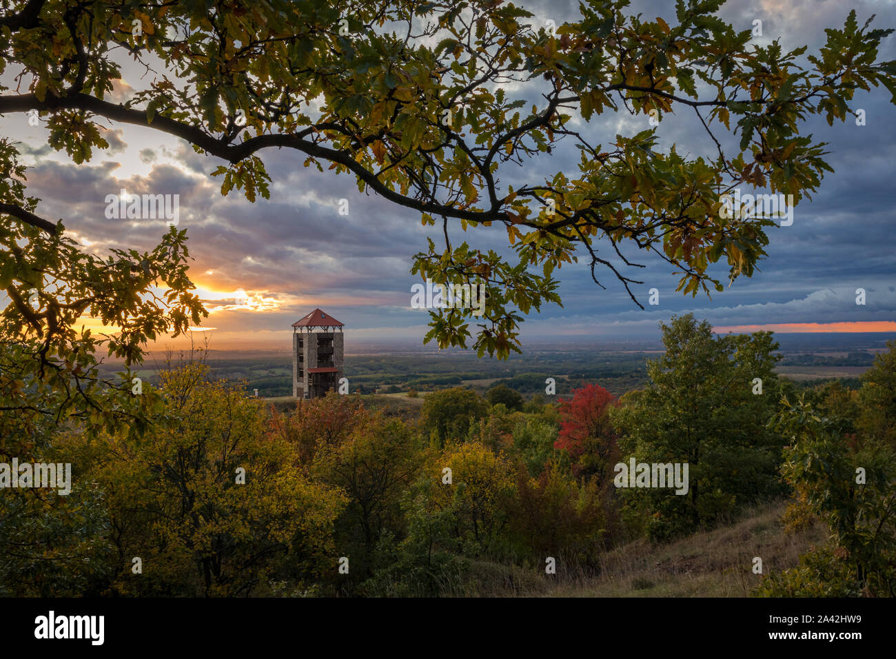 Veszprem lookout tower hi-res stock photography and images - Alamy