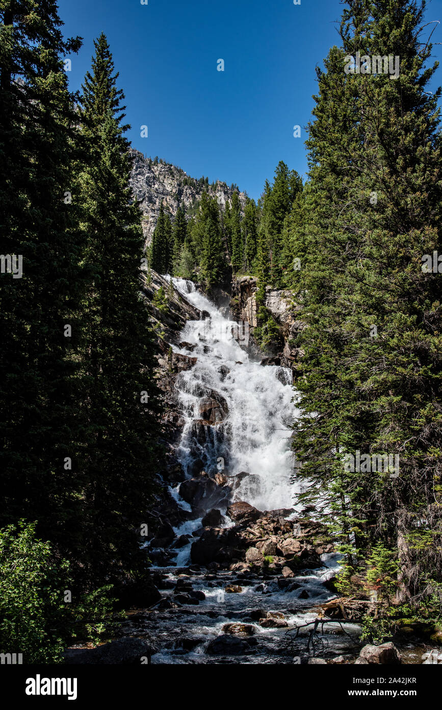Cascade river bison hi-res stock photography and images - Alamy
