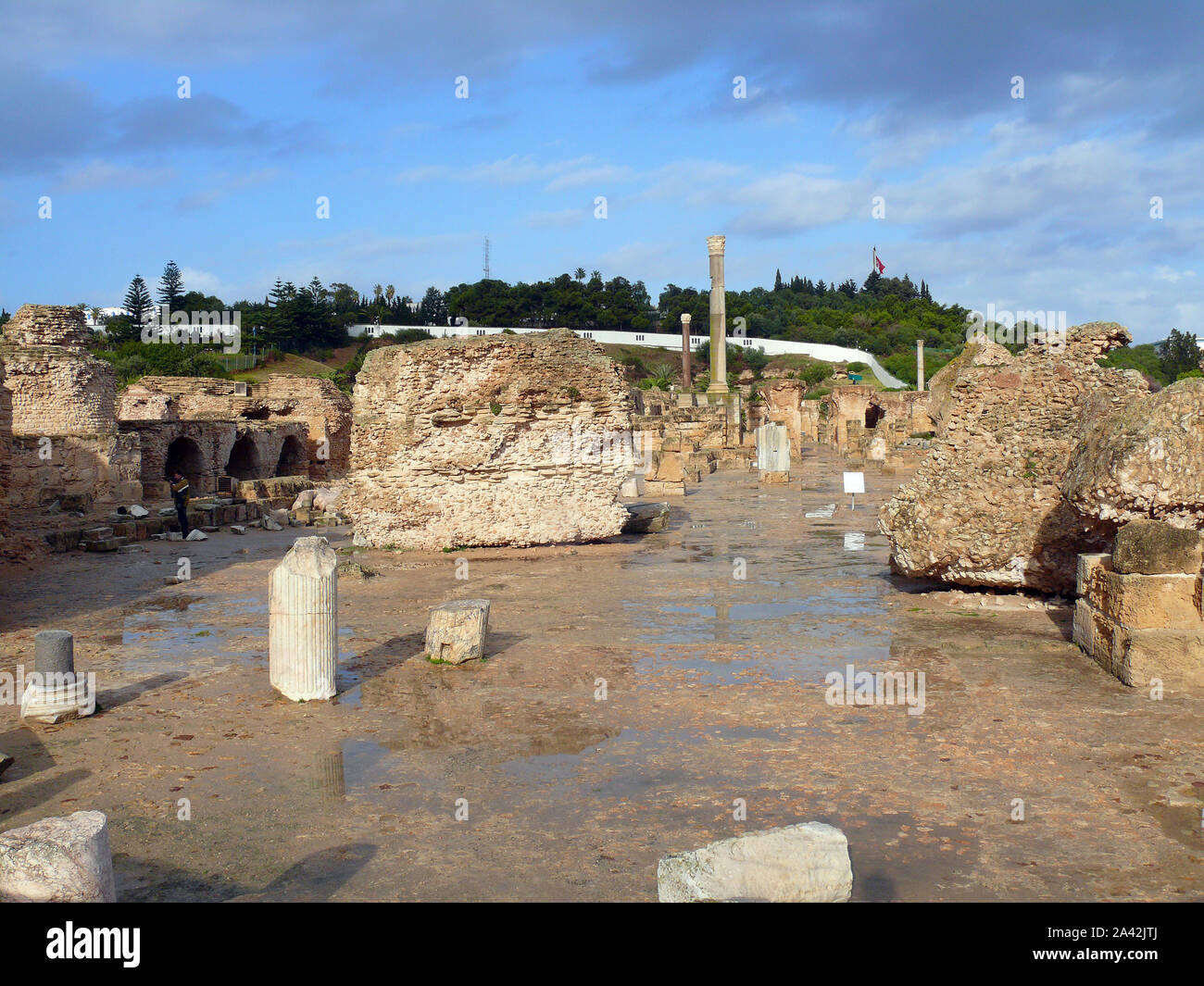 Carthage, Tunisia, North Africa, UNESCO World Heritage Site Stock Photo ...