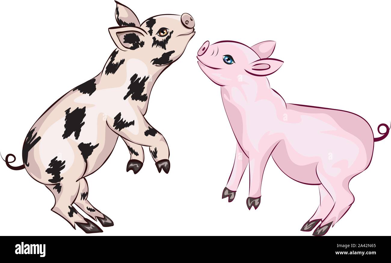 Cartoon cute and cheerful piglet illustration on white Stock Vector ...