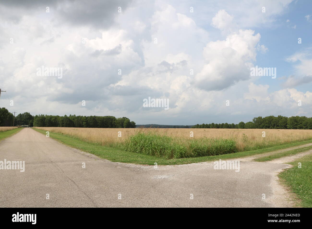 The road less traveled hi-res stock photography and images - Alamy