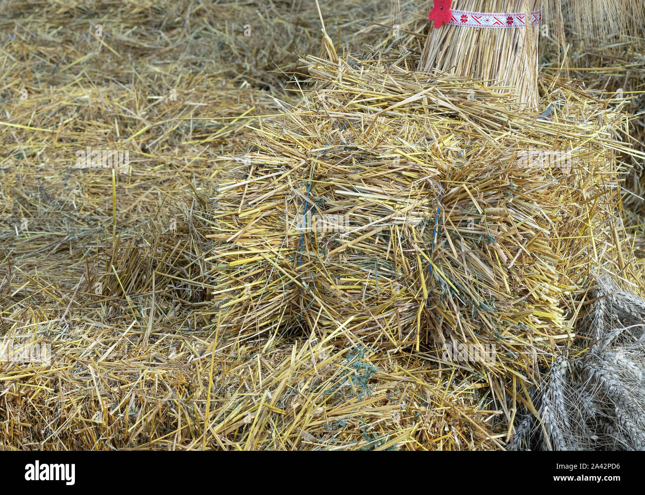 Haystack on a farm in the countryside. Straw background Stock Photo - Alamy