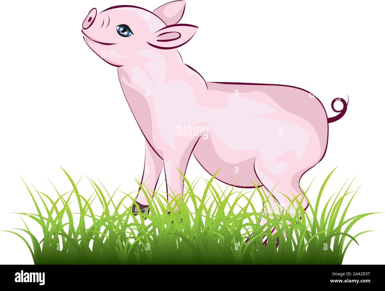 Cartoon cute and cheerful piglet illustration on white Stock Vector ...