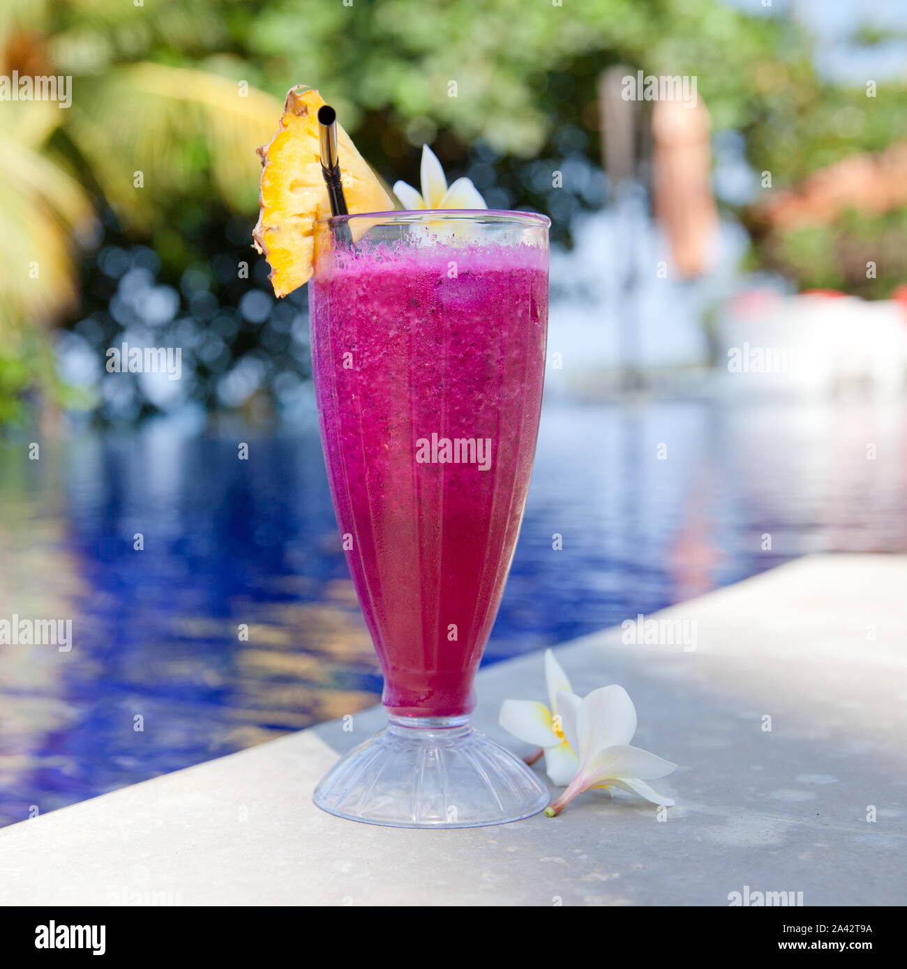 Dragon fruit juice. Hotel rest. Dragon fruit shake. Fresh cocktail and ...