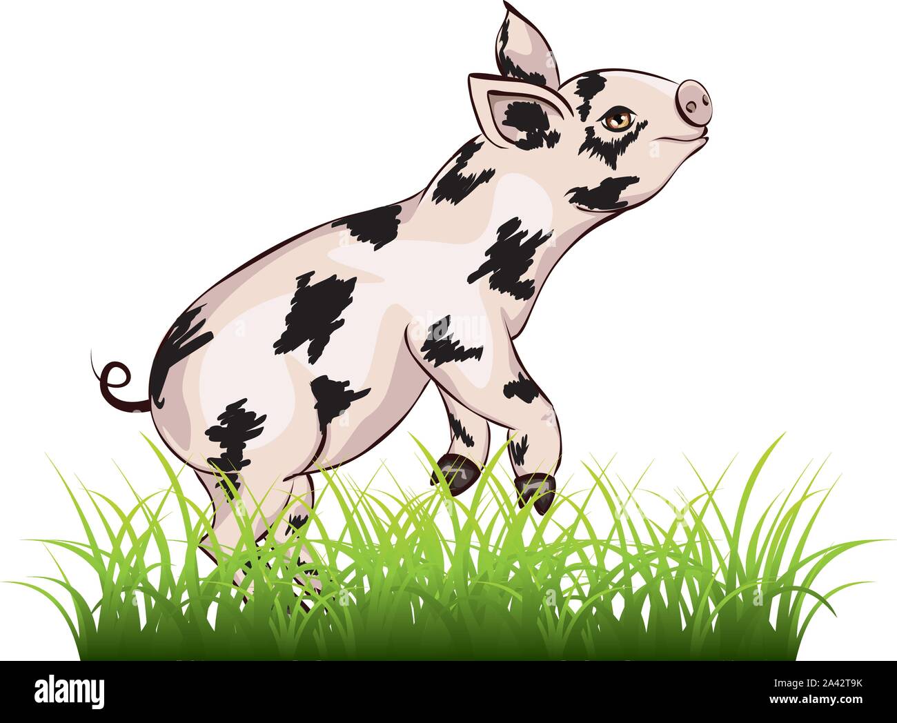 Cartoon cute and cheerful piglet illustration on white Stock Vector ...