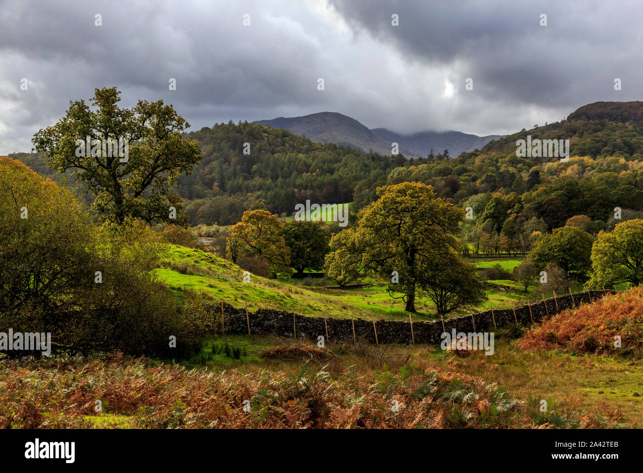 great langdale valley,lake district national park, cumbria, england, uk ...