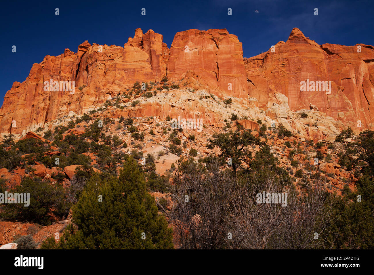 Sedimentary rock, Burr Trail, near Boulder, UT Stock Photo - Alamy