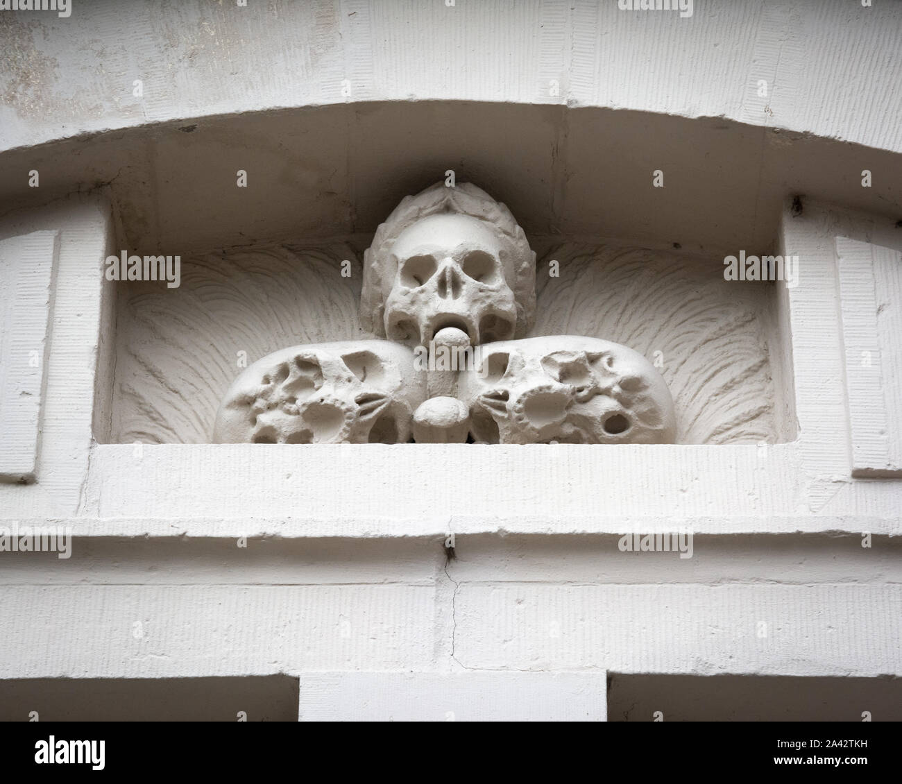 Sculpted skull hi-res stock photography and images - Alamy
