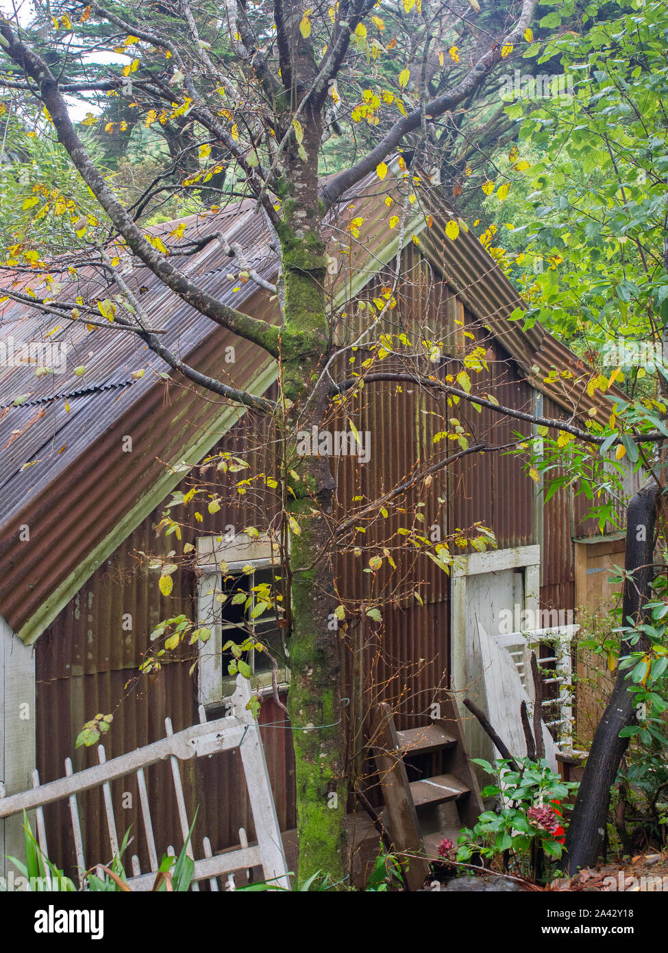 Barn In The Bush Stock Photo - Alamy