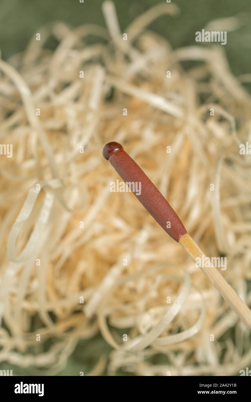 Lighting a campfire with a match hi-res stock photography and images ...