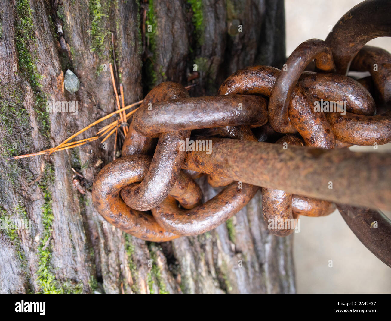 Chained to metal post hi-res stock photography and images - Alamy