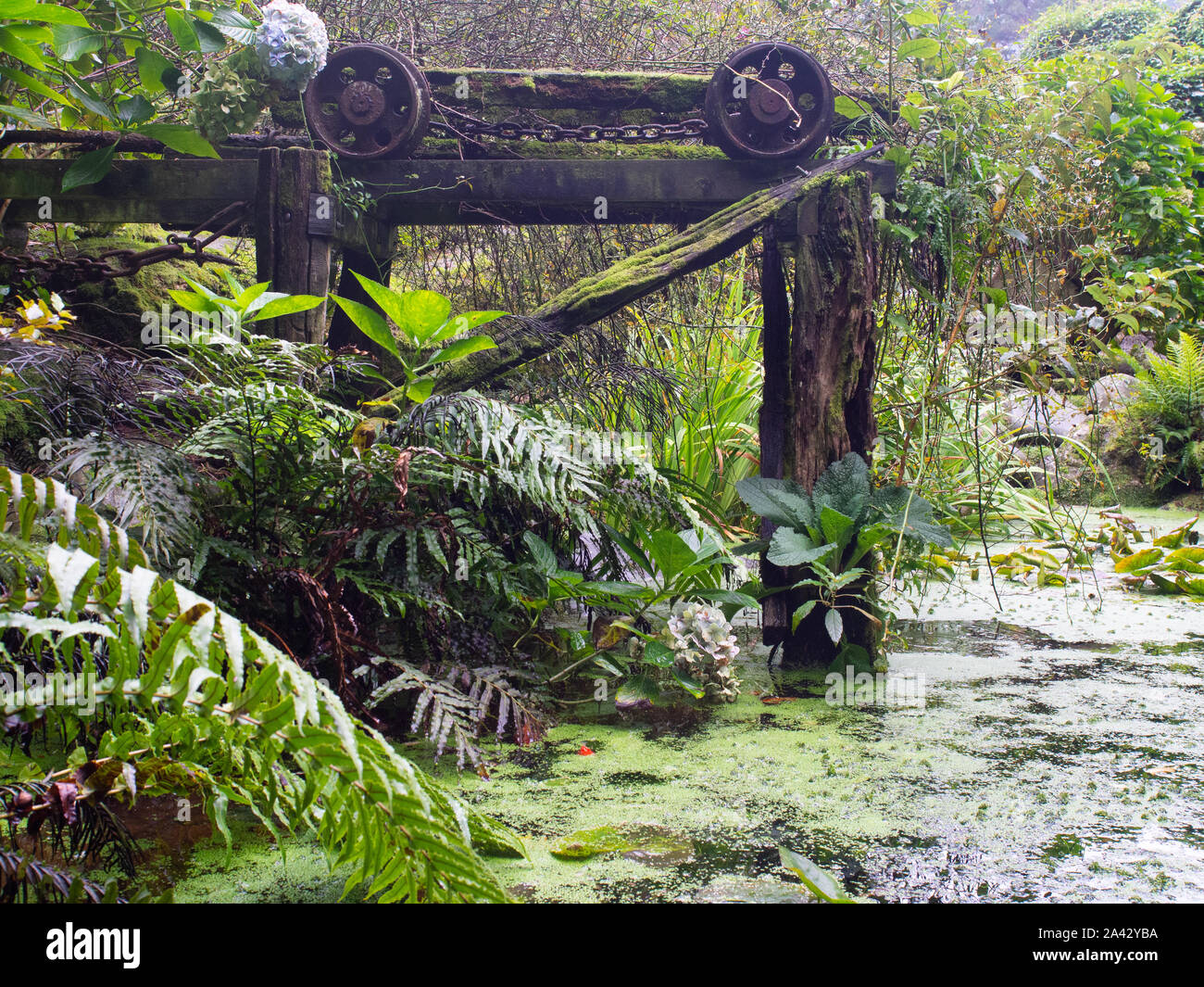 Old wooden posts in water hi-res stock photography and images - Alamy