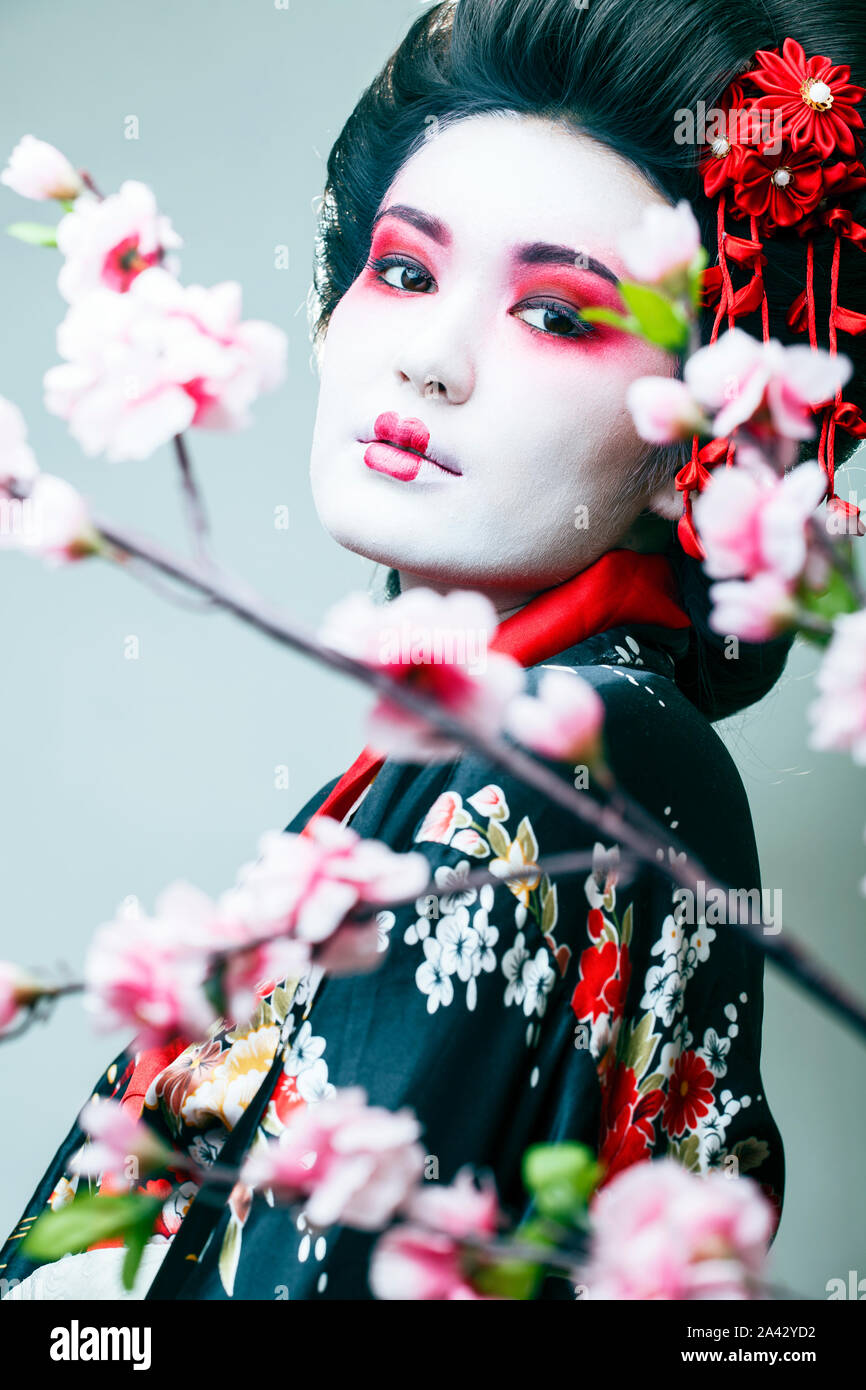 young pretty geisha in black kimono among sakura, asian ethno close up ...