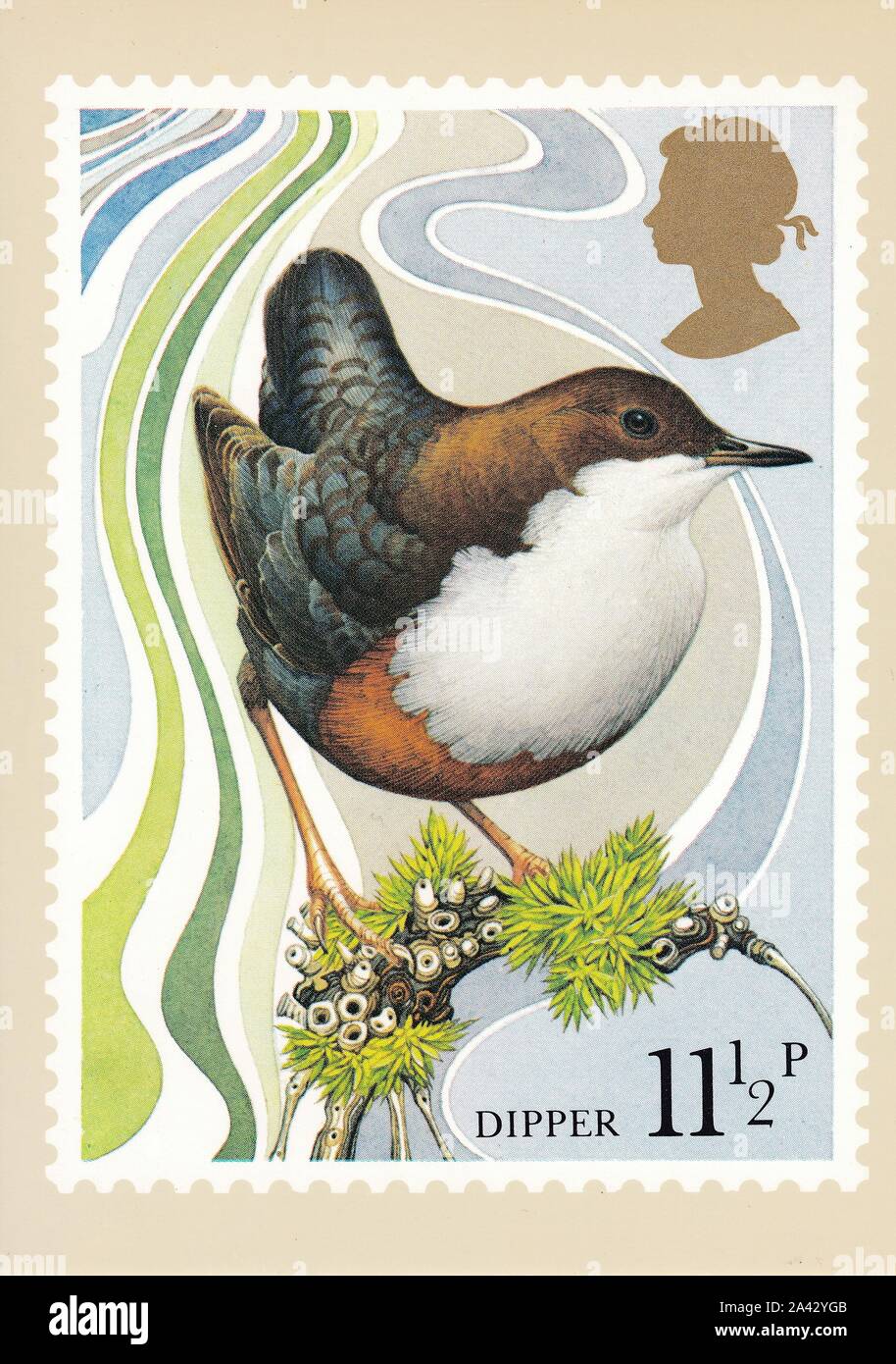 Colour Royal Mail postcard of 11.5p stamp Dipper - British Birds Stock ...