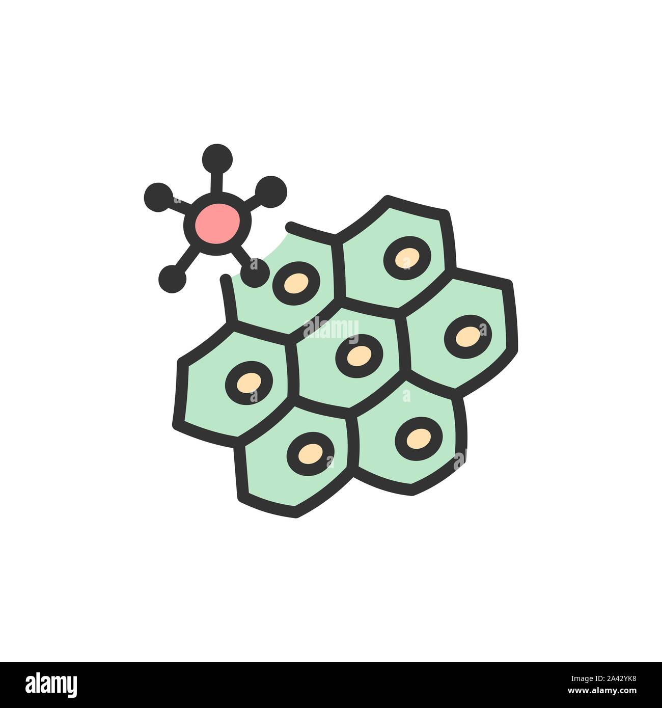 Biological cell color line hi-res stock photography and images - Alamy