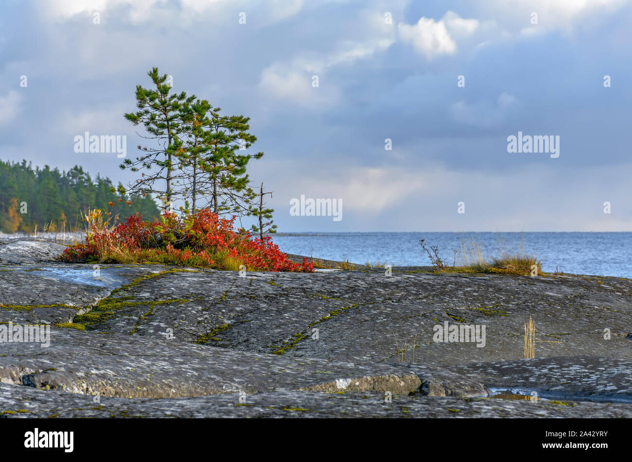 Koyonsaari island hi-res stock photography and images - Alamy