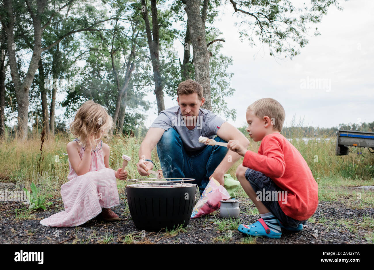 dad cooking marshmallows with his kids over a campfire bbq outdoors ...