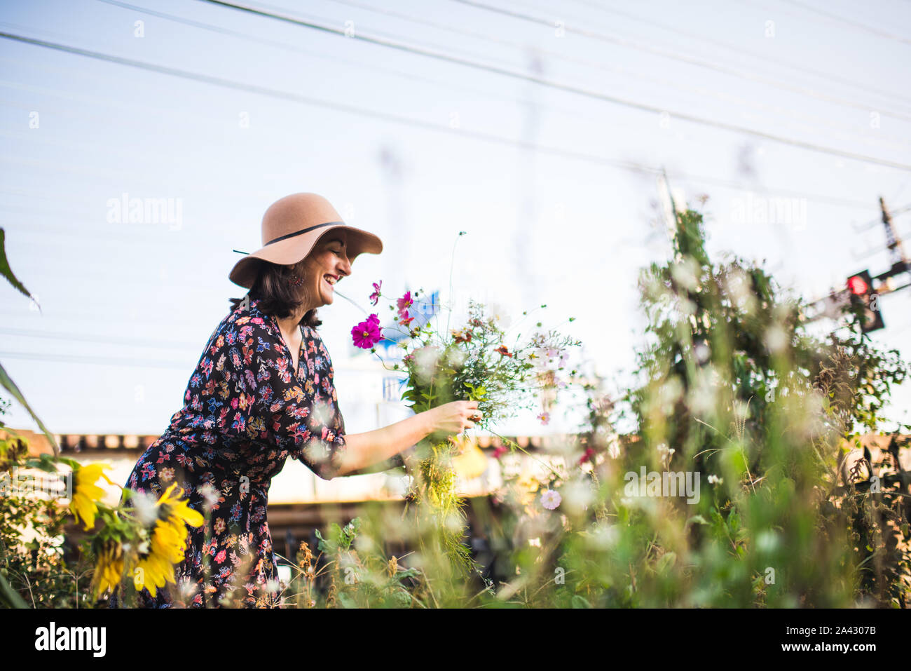 Woman picking flowers hi-res stock photography and images - Alamy