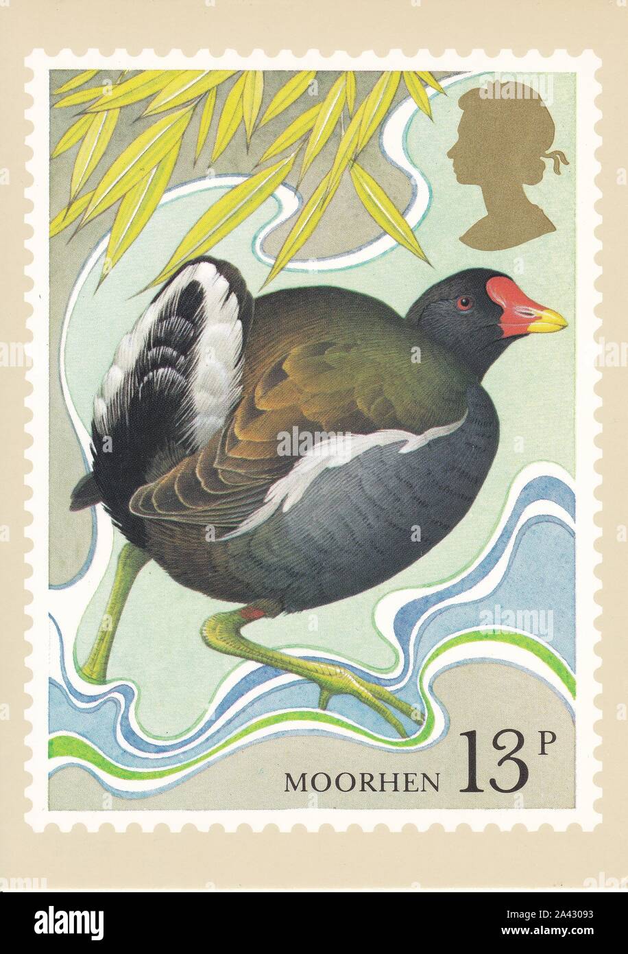 British birds 1980 hi-res stock photography and images - Alamy