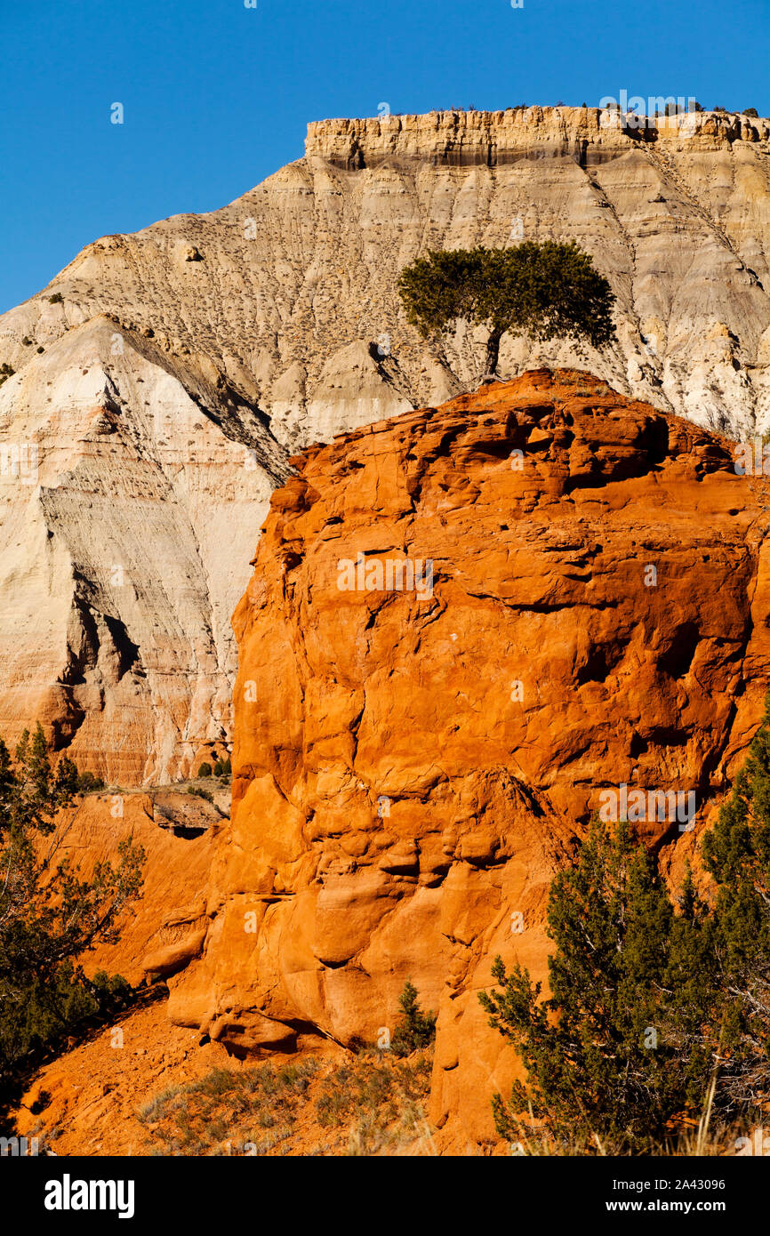 Tree formation hi-res stock photography and images - Alamy