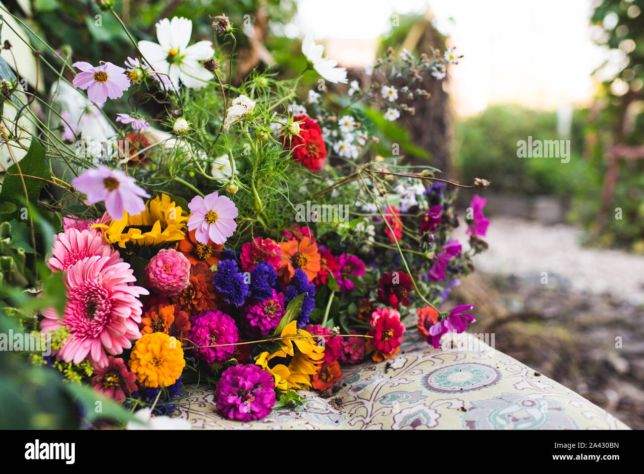 Picked garden flowers hi-res stock photography and images - Alamy