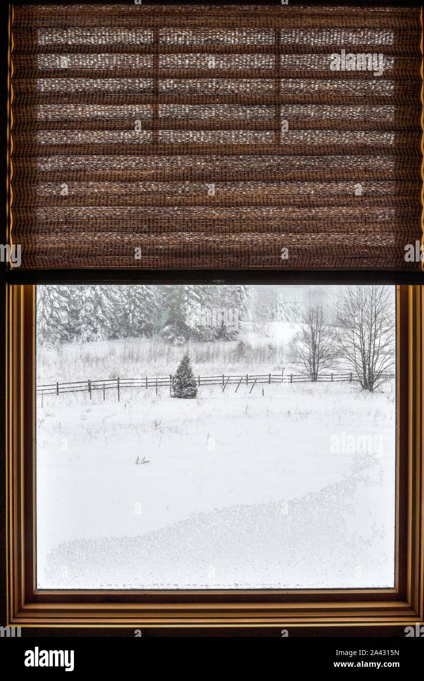 Morning view out my window after winter strom in Northern Michigan ...