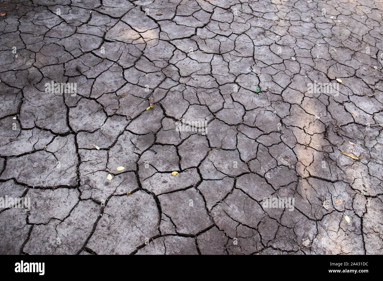 Details of brown soil showing signs of extreme drought such as cracks ...