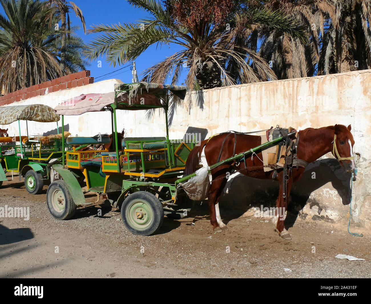 horse carriage, Tozeur, Tunisia, North Africa Stock Photo - Alamy
