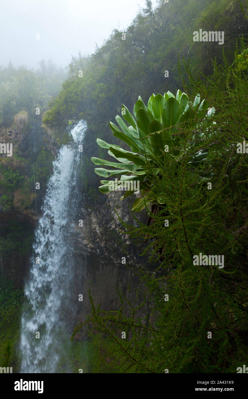 Chania falls hi-res stock photography and images - Alamy
