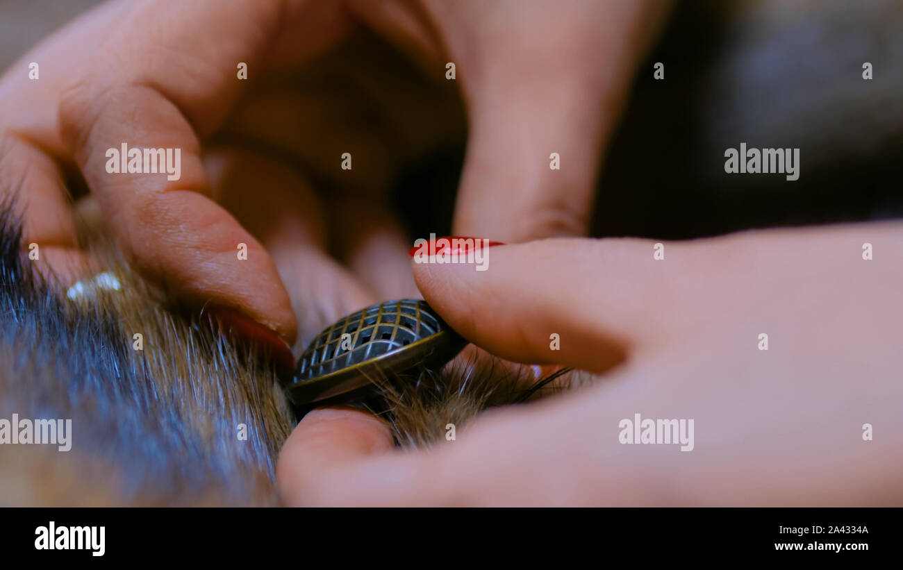 Tailor sewing button fur coat hi-res stock photography and images - Alamy