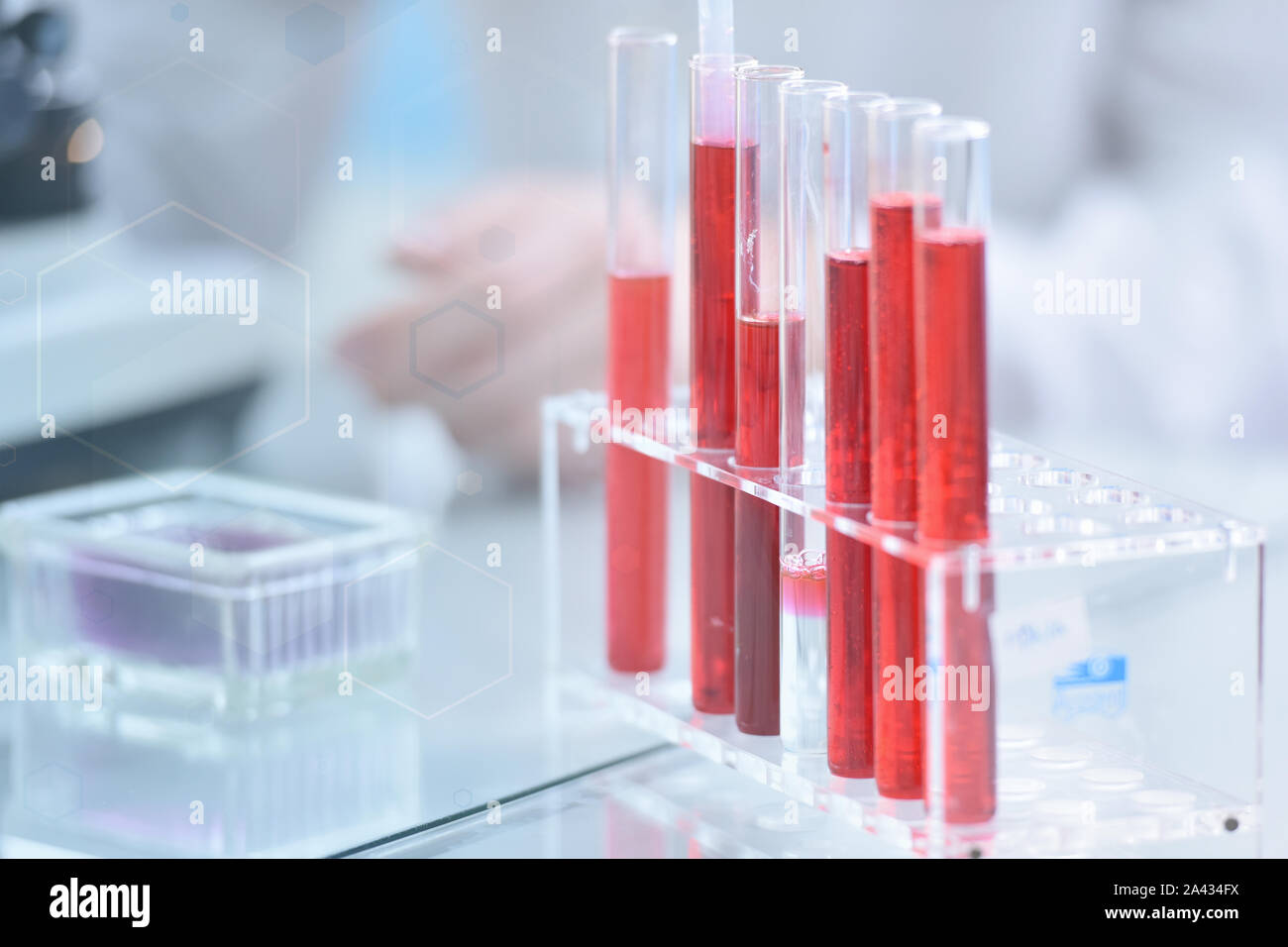 Microbiological pipette in the genetic laboratory. Science laboratory ...