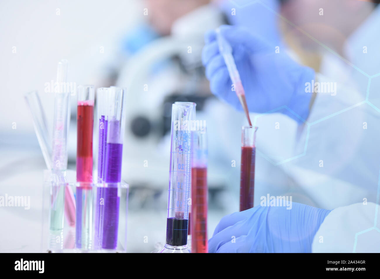 Microbiological pipette in the genetic laboratory. Science laboratory ...