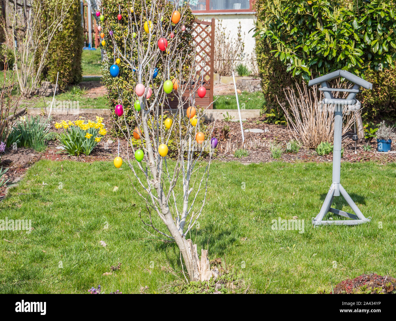 Easter tree with eggs in the garden Stock Photo - Alamy