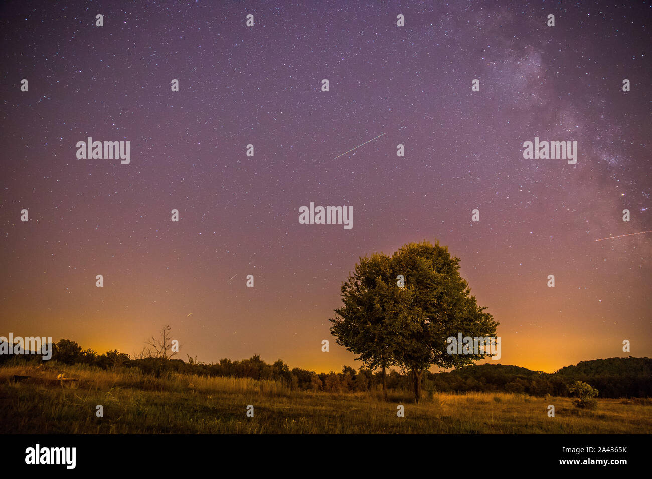 Clear purple sky with stars, lonely field and tree Stock Photo - Alamy