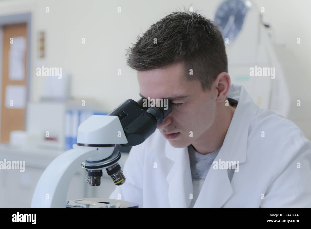 Young male scientist looking through a microscope in a laboratory doing ...