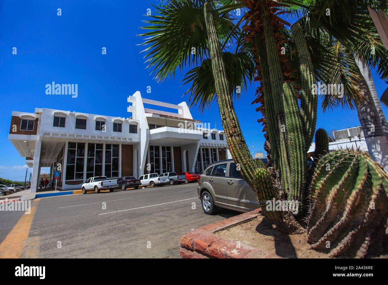 Navojoa, Sonora, Mexico. © (© Photo: LuisGutierrez / NortePhoto.com ...