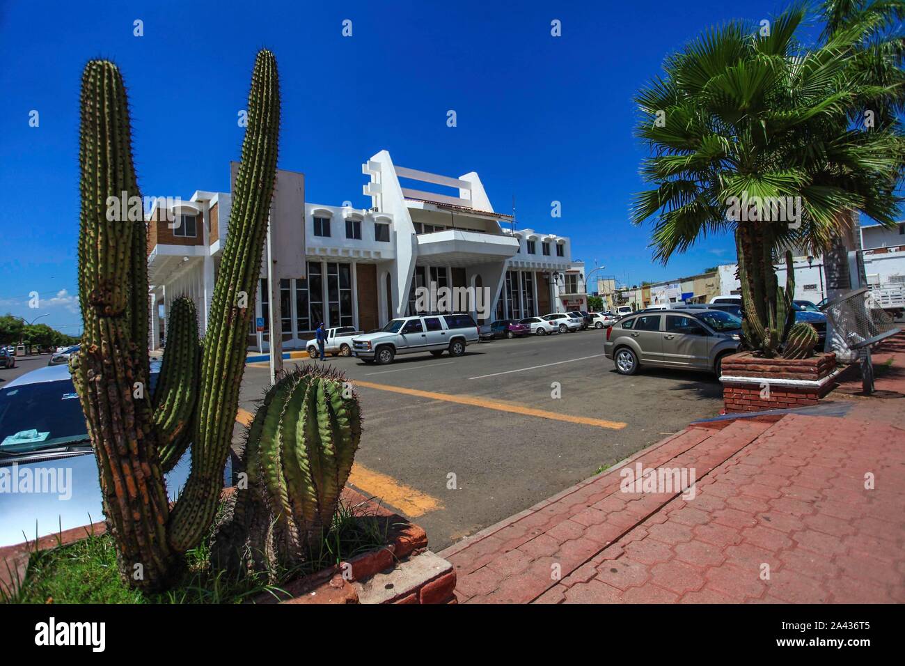 Navojoa, Sonora, Mexico. © (© Photo: LuisGutierrez / NortePhoto.com ...