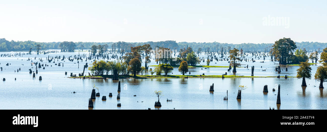 Swampland louisiana bayou usa hi-res stock photography and images - Alamy