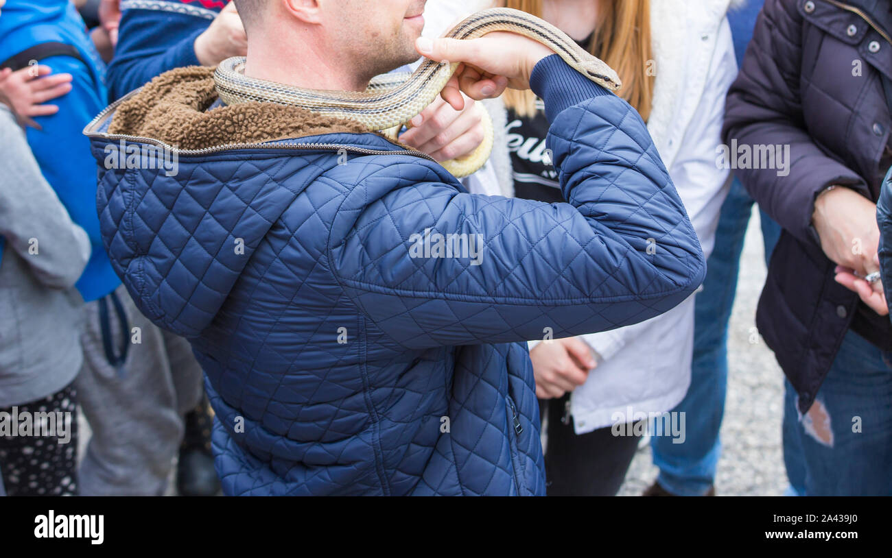 Child holding snake hi-res stock photography and images - Alamy
