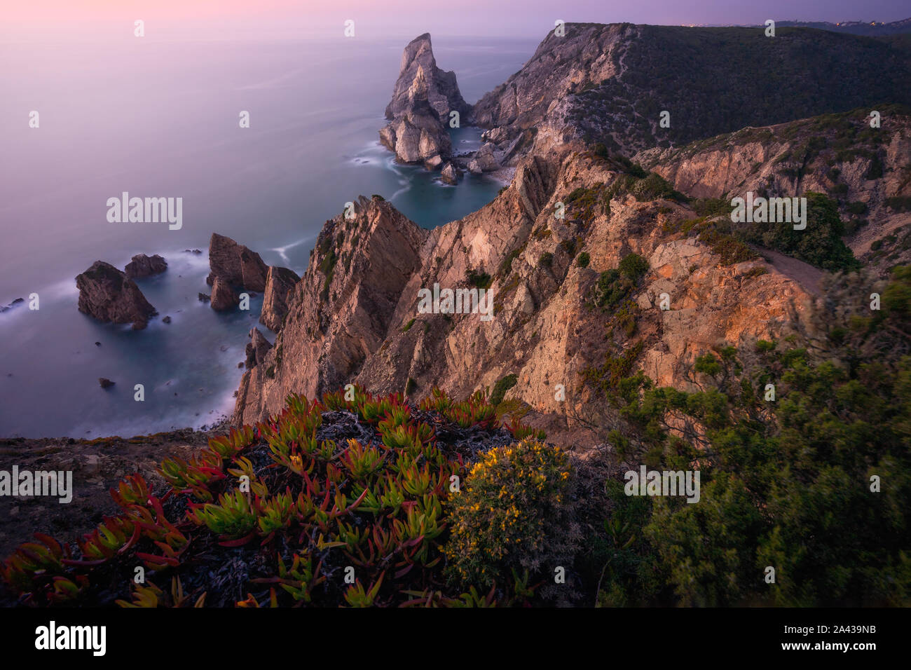 Praia da Ursa Beach. Rocky foreground with some yellow flowers in ...