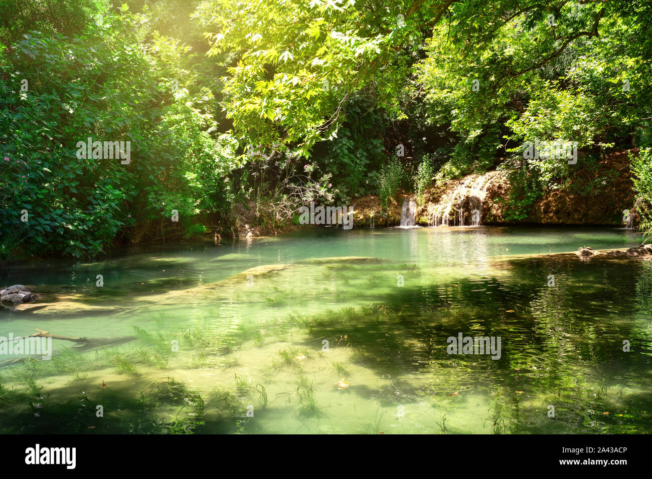 Kursunlu Nature Park and waterfall with the lake. Bright greenery ...