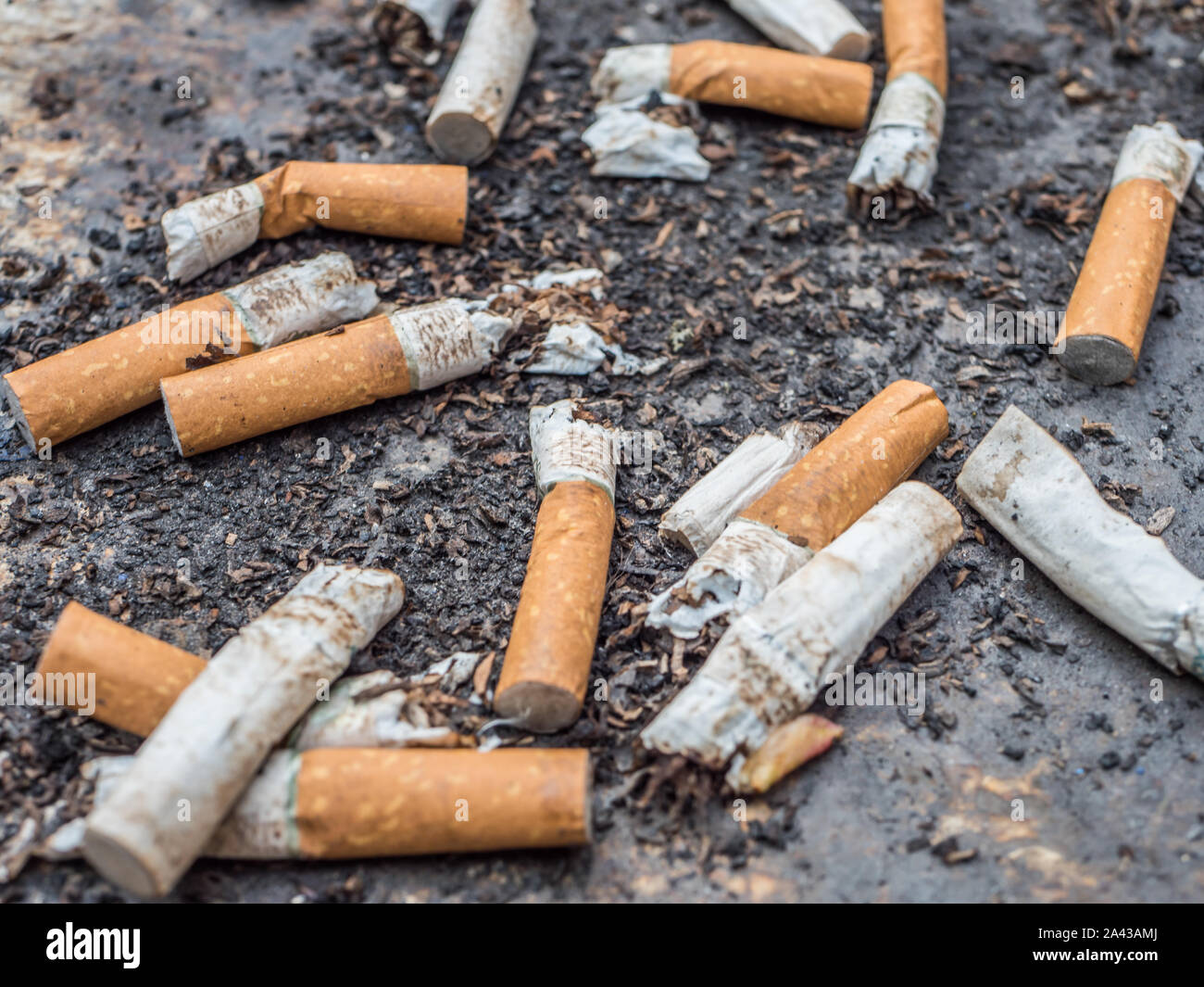 Old cigarettes filter in ashtray Stock Photo - Alamy