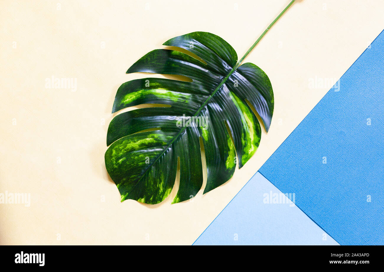 summer background of bright colors yellow and blue and tropical leaves ...